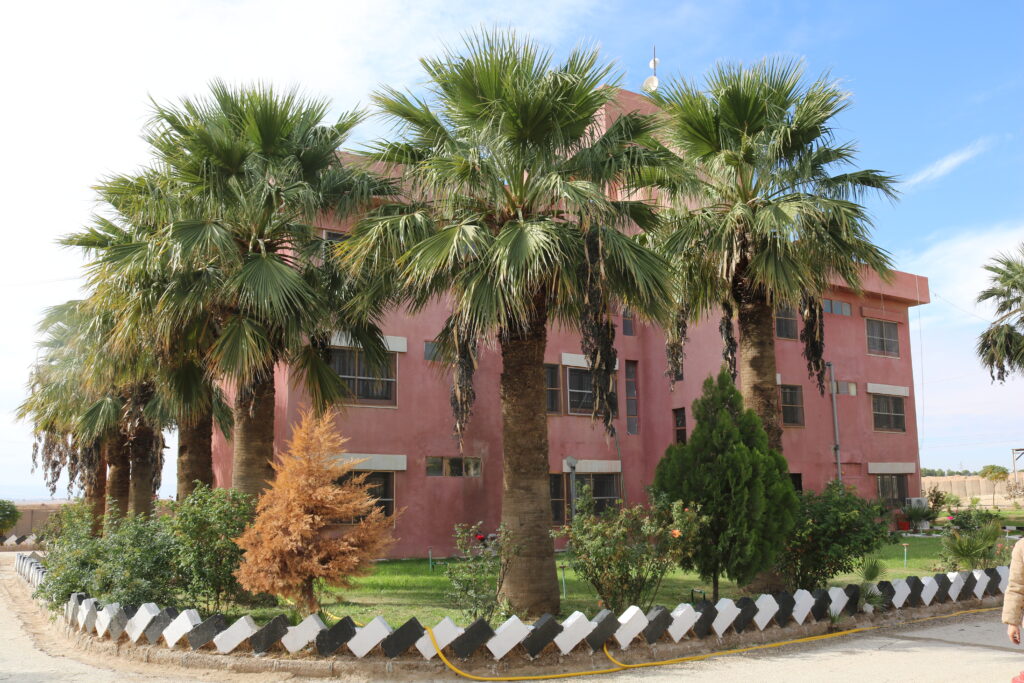 YPJ Information – Information & Documentation Office