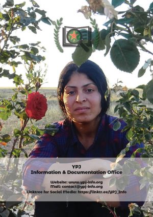Resources – YPJ Information
